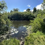 Mercer Slough Nature Park, Washington - 878 Reviews, Map | AllTrails