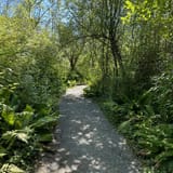 Mercer Slough Nature Park, Washington - 878 Reviews, Map | AllTrails