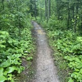 Lester River Trail and Amity East, Minnesota - 763 Reviews, Map | AllTrails