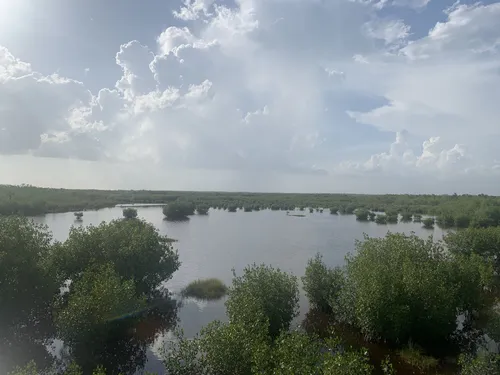 Best Hikes and Trails in Ten Thousand Islands National Wildlife Refuge ...