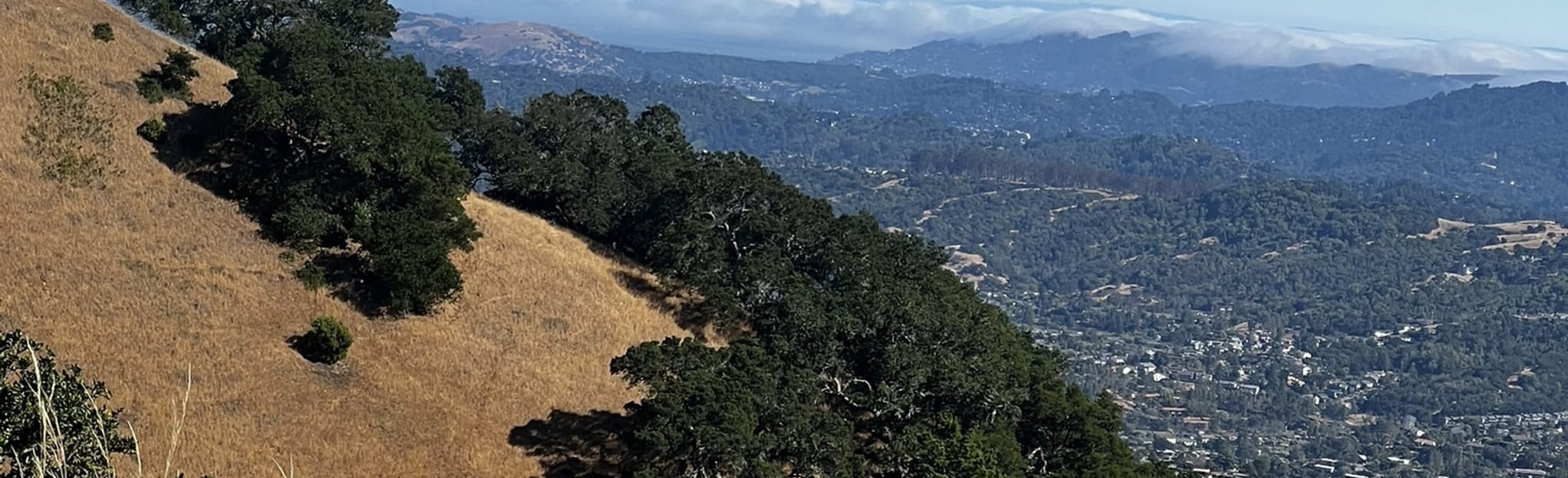 Lucas Valley Loop Trail, California - 164 Reviews, Map | AllTrails