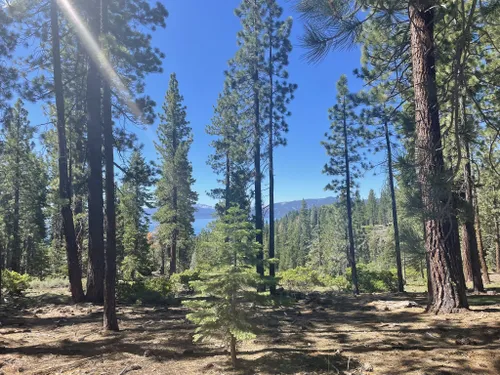 10 Best Trails and Hikes in Tahoe City | AllTrails
