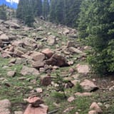 Sentinel Point Trail, Colorado - 163 Reviews, Map | AllTrails