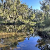 Berrara Waterfall, New South Wales, Australia - 45 Reviews, Map | AllTrails