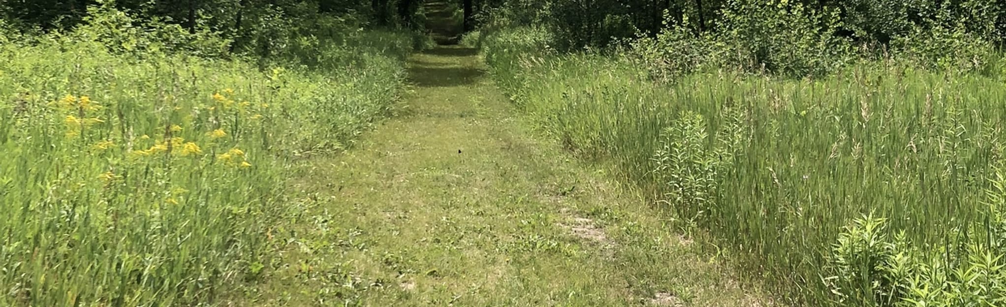 Prairie Pothole Trail and Forestry Trail: 20 Reviews, Map - Minnesota ...