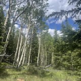 Sentinel Point Trail, Colorado - 163 Reviews, Map | AllTrails