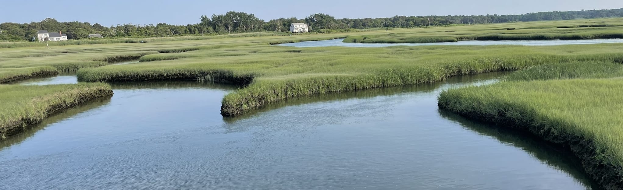 Bass Hole Boardwalk, Massachusetts - 91 Reviews, Map | AllTrails