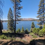 Shaver Lake Lakeview Trail, California - 366 Reviews, Map | AllTrails