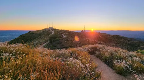 2023 Best Forest Trails in La Crescenta | AllTrails