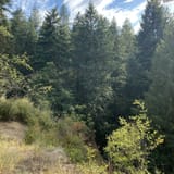 Trail 121: Waterfall Loop, Washington - 897 Reviews, Map | AllTrails