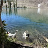 Baker Lake Trail, Idaho - 384 Reviews, Map | AllTrails