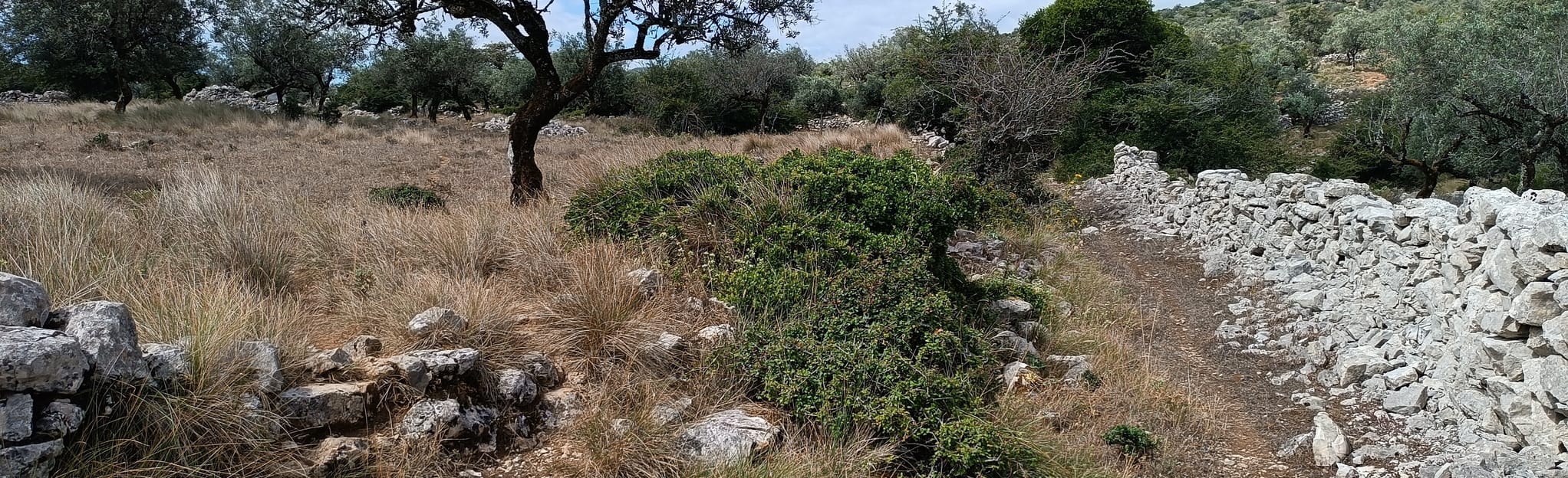 Rota do Monte Pragosa: 2 Reviews, Map - Leiria, Portugal | AllTrails