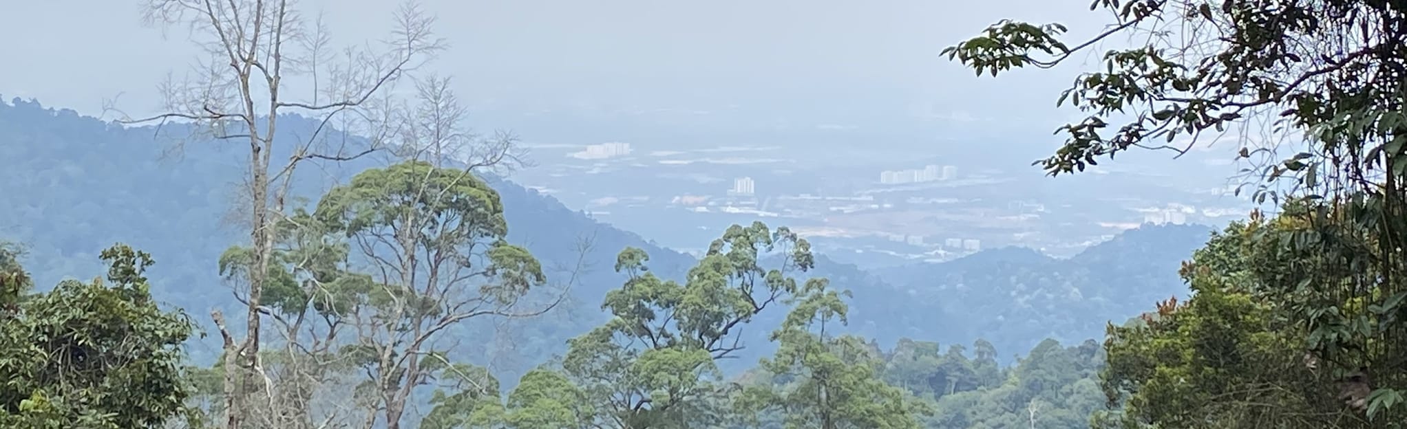 Bukit Genting Rompin, Selangor, Malaysia - 7 Reviews, Map | AllTrails