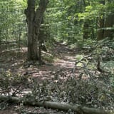 Lake Monroe Peninsula Trail, Indiana - 1,282 Reviews, Map | AllTrails