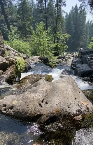 Best Hikes and Trails in Prospect State Scenic Viewpoint | AllTrails