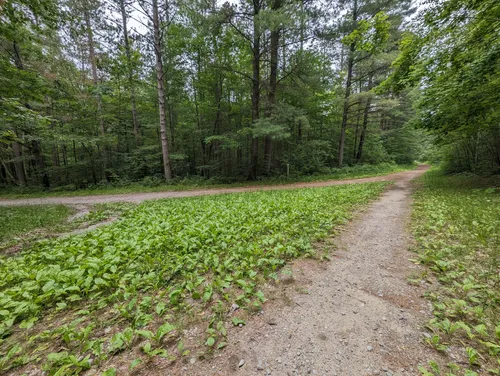 10 Best Hikes and Trails in Durham Regional Forest | AllTrails