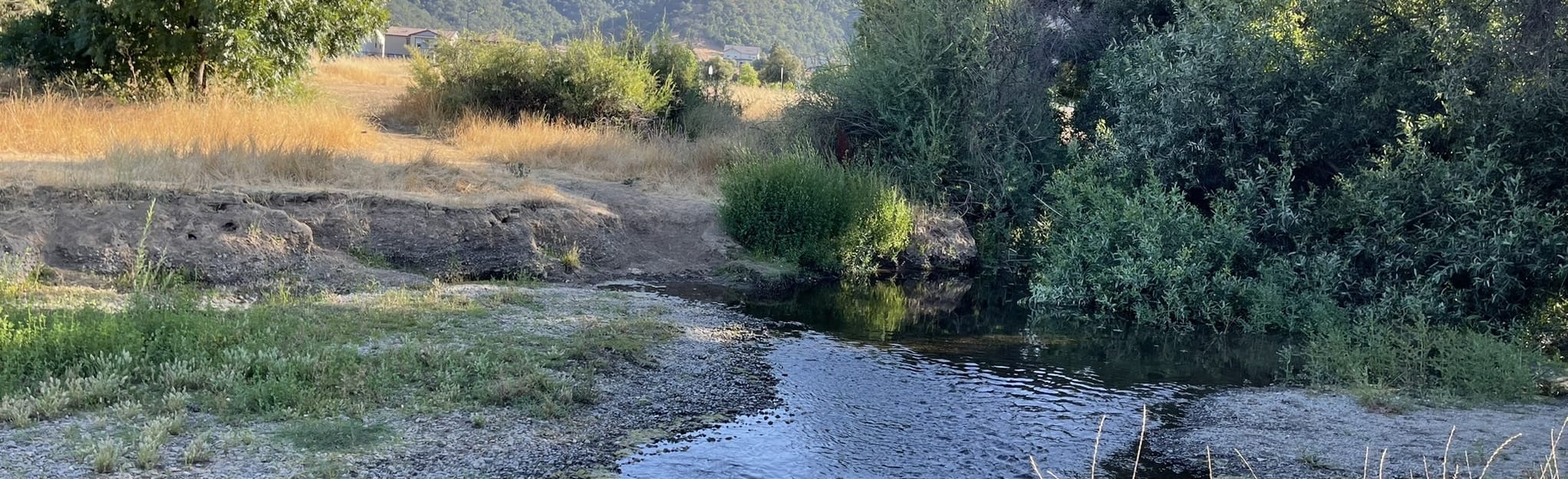 Debell Park and Uvas Creek Loop: 195 Reviews, Map - California | AllTrails