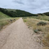 Suncrest Trail, Utah - 1,304 Reviews, Map | AllTrails
