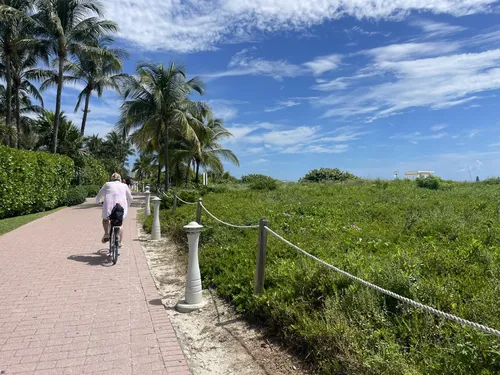 2023 Best Trail Running Trails in Miami Beach | AllTrails