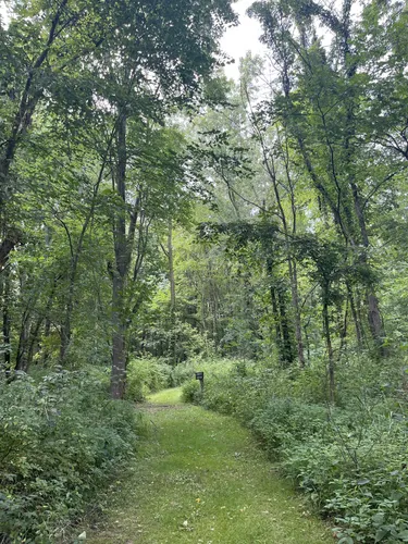 Best Hikes and Trails in Spicer Lake Nature Preserve | AllTrails