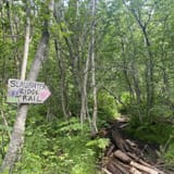 Slaughter Ridge Trail, Alaska - 825 Reviews, Map | AllTrails