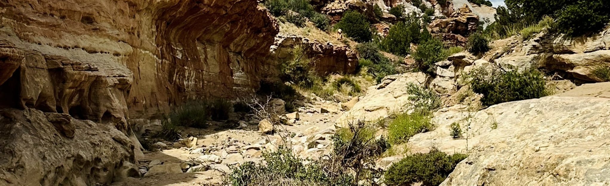 Round Valley Draw, Utah - 39 Reviews, Map | AllTrails