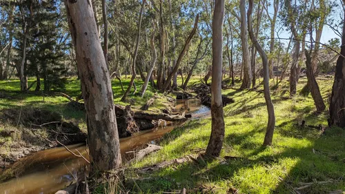Best Camping Trails in Yattalunga | AllTrails