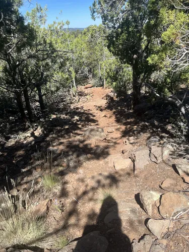 Best Hikes and Trails in Mount Trumbull Wilderness | AllTrails