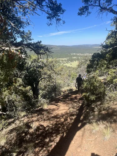 Best Hikes and Trails in Mount Trumbull Wilderness | AllTrails