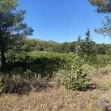 Via Domitia: Saint-Rémy-de-Provence, Bouches-du-Rhône, France - 27 ...