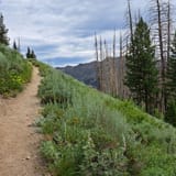 Baker Lake Trail, Idaho - 404 Reviews, Map | AllTrails
