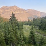 Skoki Loop Backpacking Trail, Alberta, Canada - 330 Reviews, Map ...