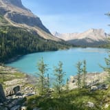 Skoki Loop Backpacking Trail, Alberta, Canada - 330 Reviews, Map ...