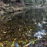 Northbrook Gorge, Queensland, Australia - 366 Reviews, Map | AllTrails