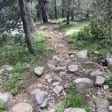 Wheeler Lake, California - 190 Reviews, Map | AllTrails