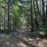 Potato Field and Maple Grove Trail Loop, New York - 366 Reviews, Map ...