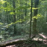 Sharps Ridge Loop Trail, Tennessee - 833 Reviews, Map | AllTrails