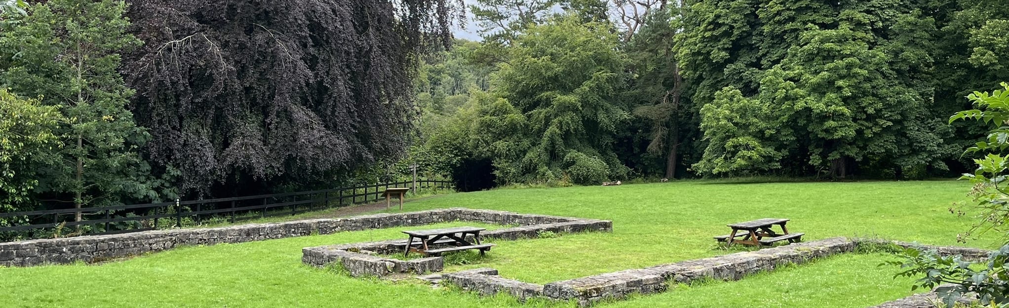 Moss Wood and Muiravonside Country Park, West Lothian, Scotland - 11 ...