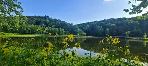 Best Short Trails in Griffy Lake Nature Preserve | AllTrails