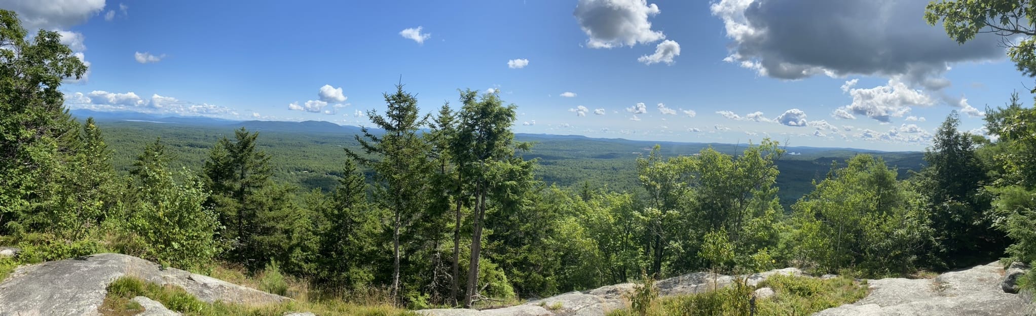 Whiteface Mountain Trail, New Hampshire - 333 Reviews, Map | AllTrails