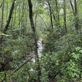 Blue Hole Falls, Tennessee - 504 Reviews, Map | AllTrails