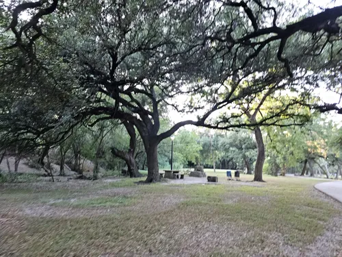 Best Hikes and Trails in Olmos Basin Park | AllTrails