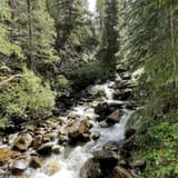 Timber Lake Trail, Colorado - 538 Reviews, Map | AllTrails