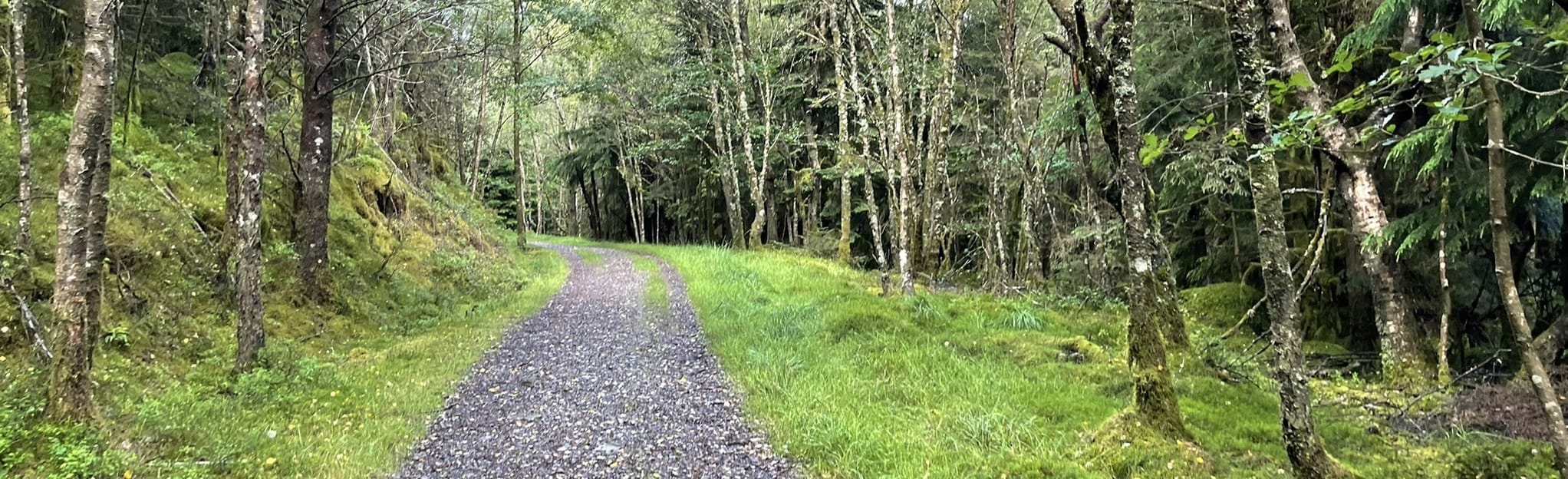 Sarn Helen (Long Route) Circular: 1 Reviews, Map - Gwynedd, Wales ...