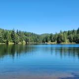 Ollala Reservoir [CLOSED], Oregon - 171 Reviews, Map | AllTrails