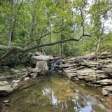 Moss Rock Preserve Trail, Alabama - 954 Reviews, Map | AllTrails
