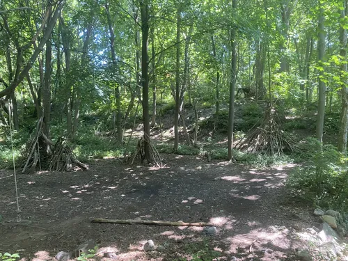 Best Hikes and Trails in Steer Swamp Conservation Area | AllTrails