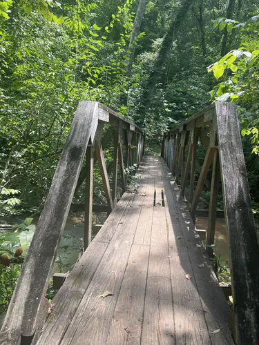 Best Hikes and Trails in Warriors' Path State Park | AllTrails