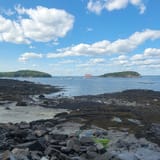 Bar Harbor Shore Path, Maine - 982 Reviews, Map | AllTrails