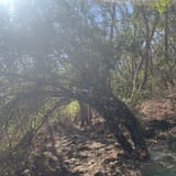 Upper Table Rock Trail, Oregon - 1,603 Reviews, Map | AllTrails